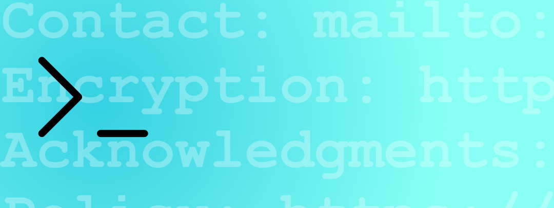 Was ist eine security.txt – und warum jedes Unternehmen eine haben ...